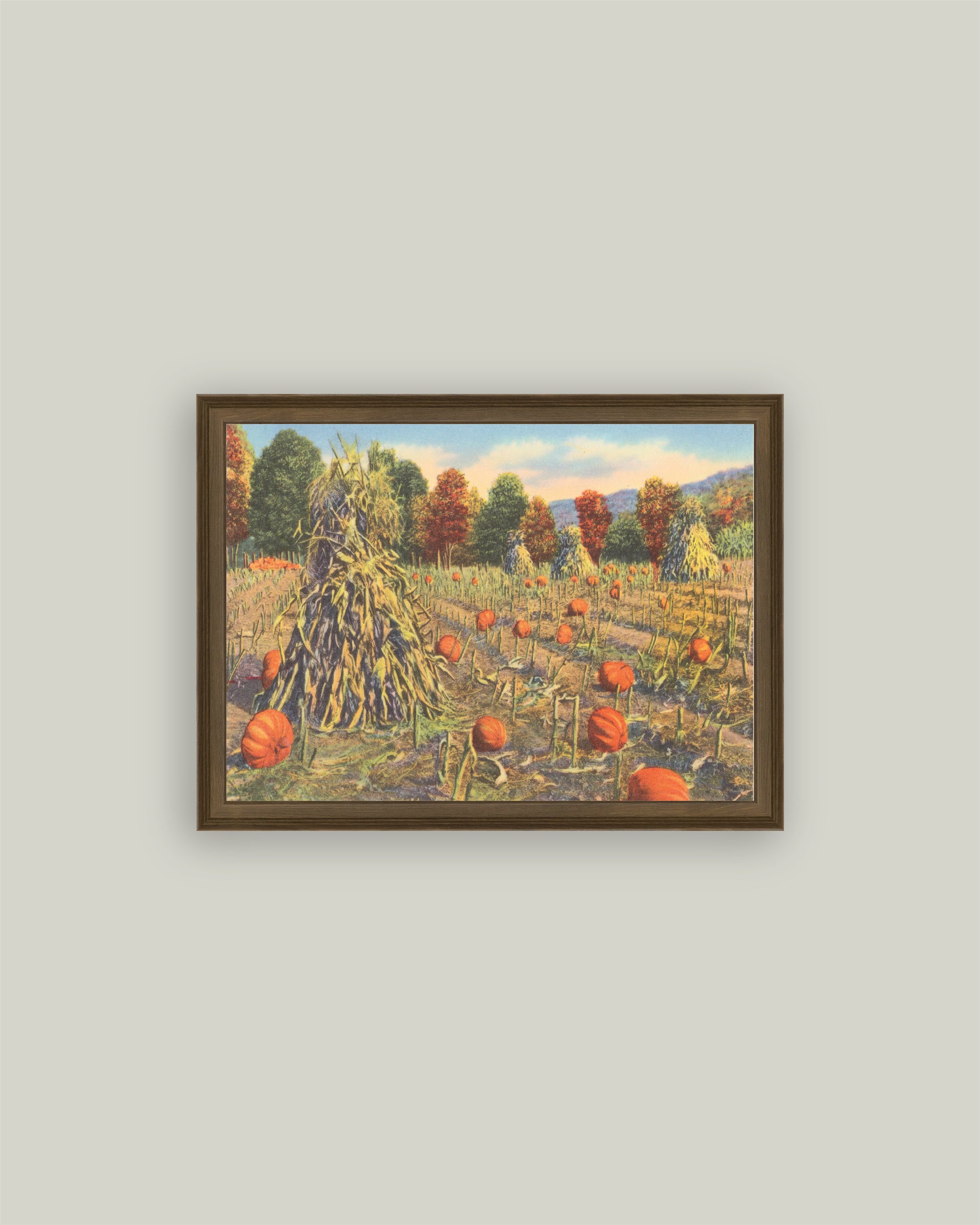 The Pumpkin Patch – Petal Lane Home