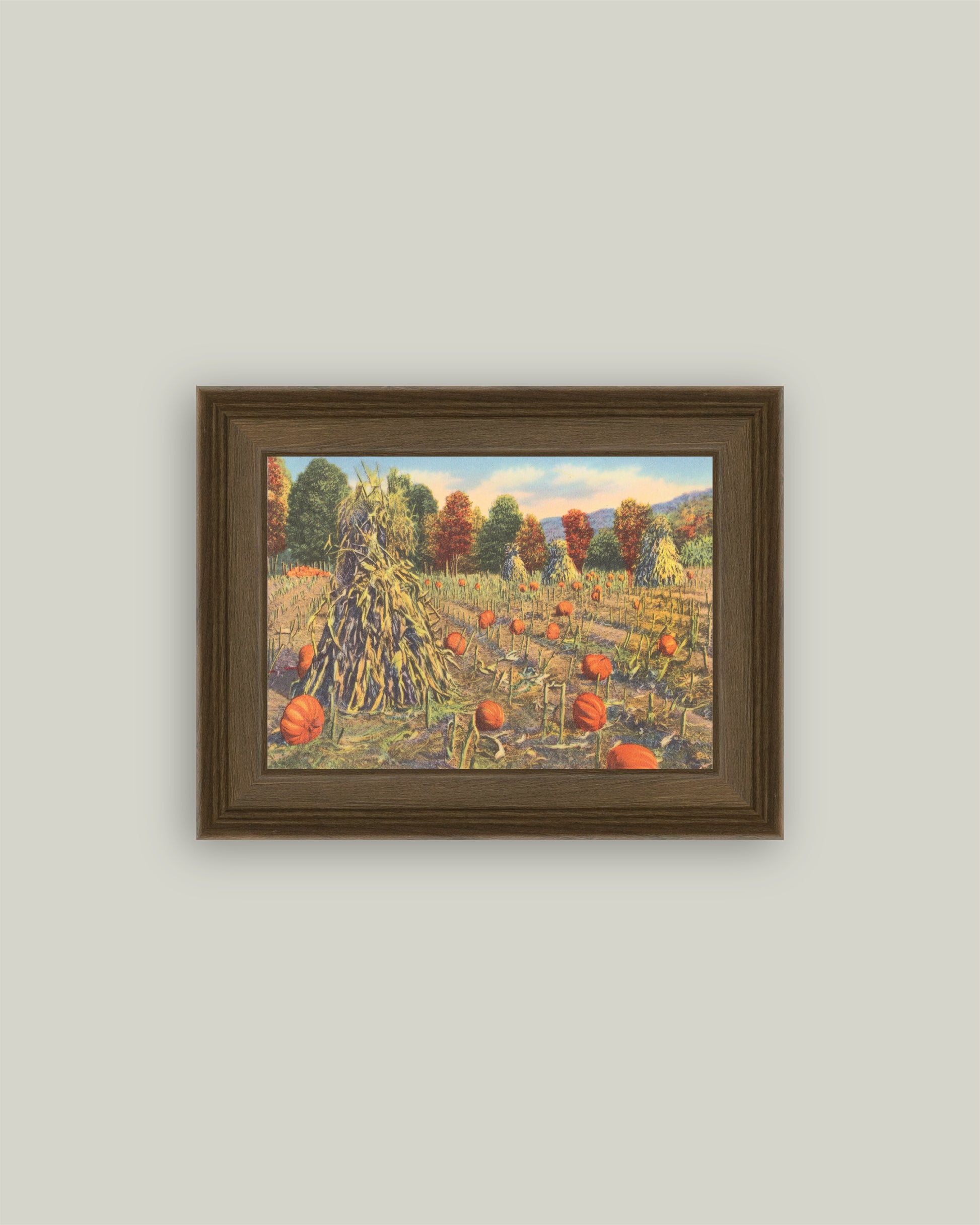 The Pumpkin Patch – Petal Lane Home