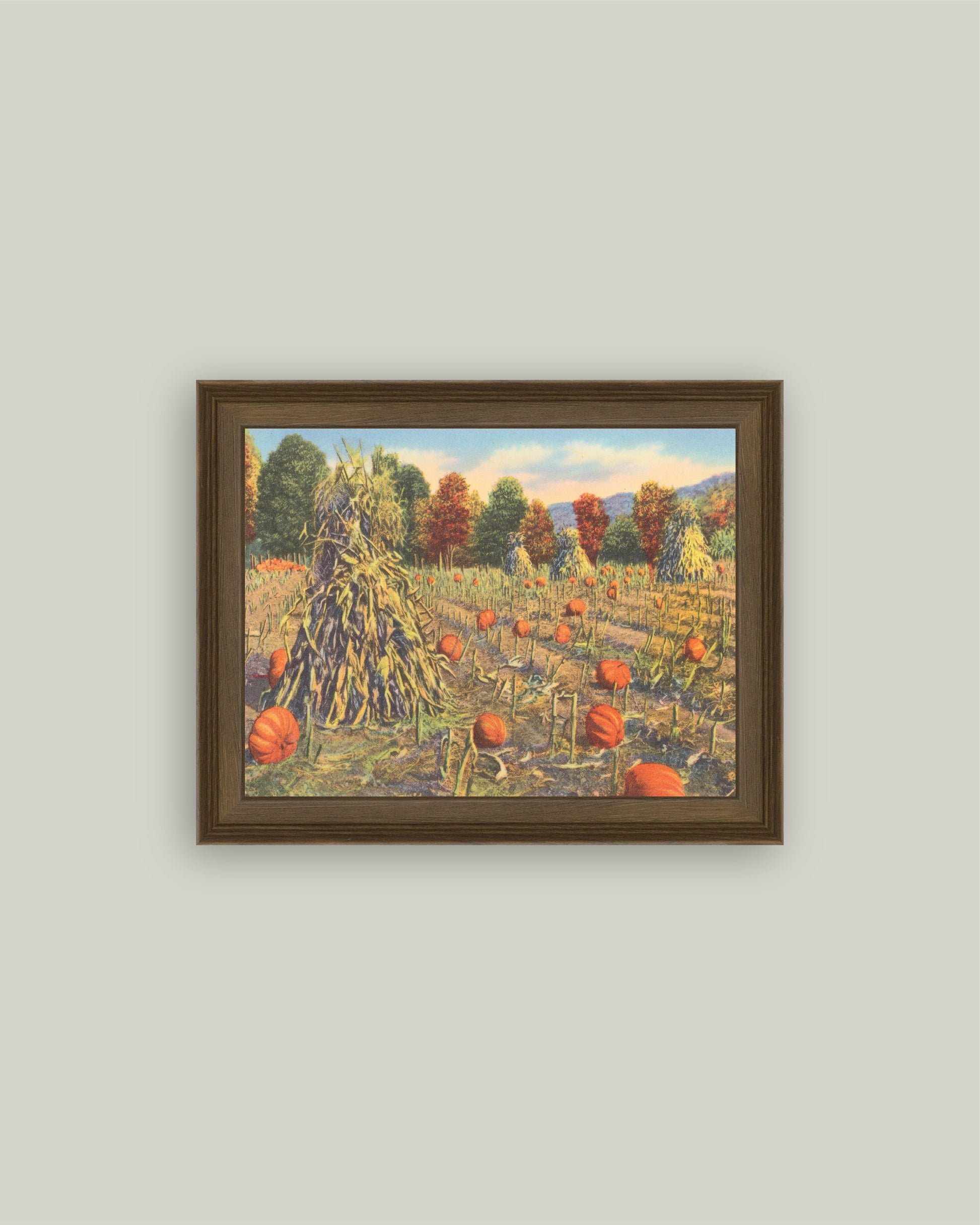 The Pumpkin Patch – Petal Lane Home