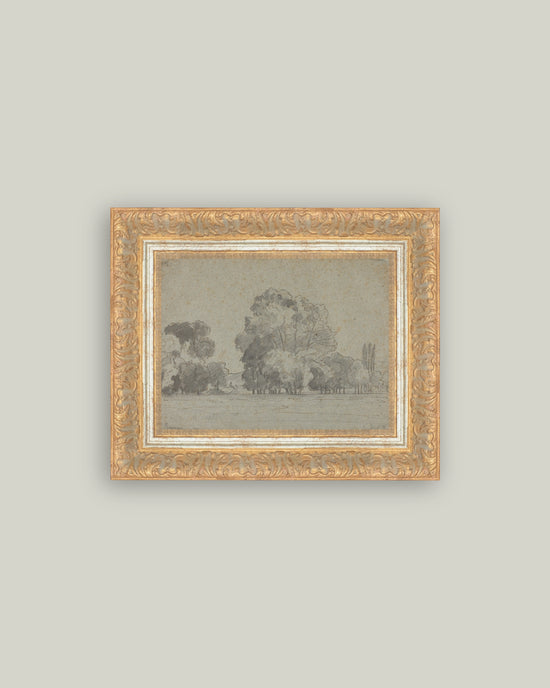 Grove of Trees – Petal Lane Home