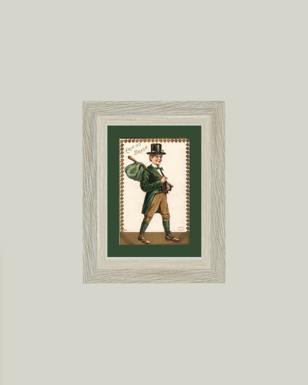 Irish Lad – Petal Lane Home